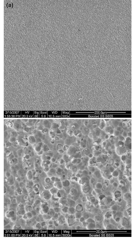 Surface Of Borated 304b Ss After Cpp In 5 M Cacl 2 At 105 °c A 500