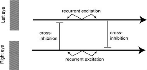Schematic Diagram Of Network Architecture Consisting Of Two
