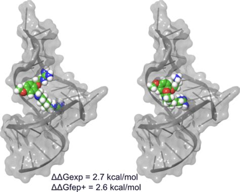 Accurate Physics Based Prediction Of Binding Affinities Of RNA And DNA Targeting Ligands