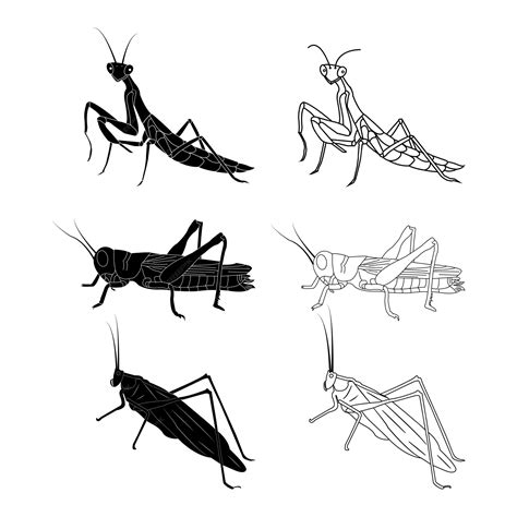 Premium Vector Grasshopper Icon