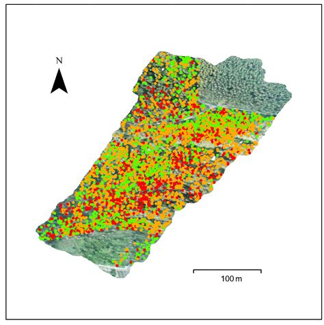 Remote Sensing Free Full Text Application Of Yolov5 For Point Label Based Object Detection