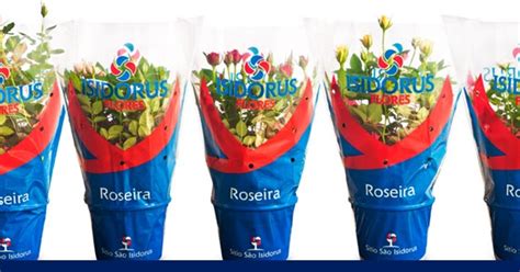 S Tio S O Isidorus Cresce O Consumo De Rosas No Brasil