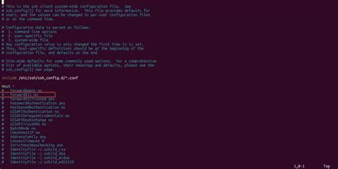 7 Usos Prácticos De Ssh Con Servidores Remotos Ahla Home