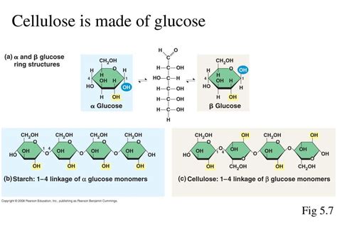 Exam 2 M 38 In Class Qanda Fri 35 From 4 6pm In Wrw Ppt Download