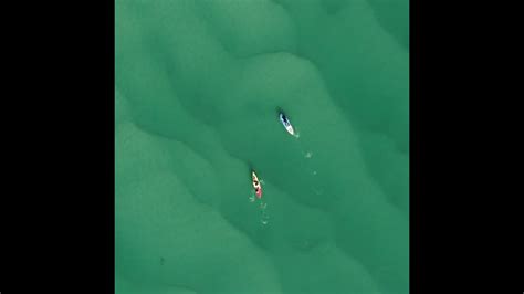 David Conolly Century 21 Conolly Hay Group Noosa Heads Au