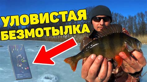 Уловистая безмотылка с шариком | Зимняя рыбалка | Секреты ловли окуня ...