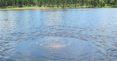 Diffuser Placement Recommendations Robust Aire Kasco Marine