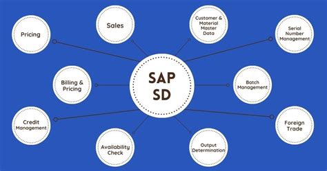 Sap Sd Functional Consultant