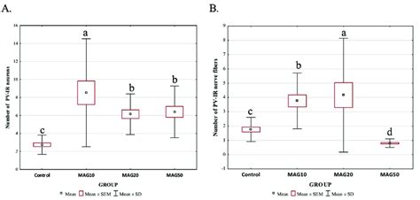 Differences In The Average Number Of PV IR Neurons A And PV IR Nerve Download Scientific