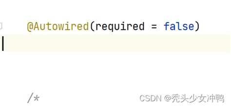 报错解决： org springframework beans factory annotation autowired required