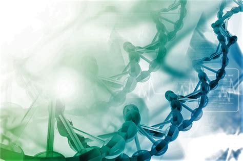 Innovative Genomic Institute Climate Resilience And Genomic Innovation Workshop Keystone