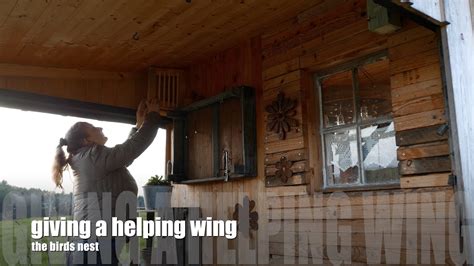 Giving A Helping Wing Youtube