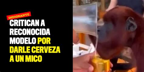 Critican A Reconocida Modelo Por Darle Cerveza A Un Mico