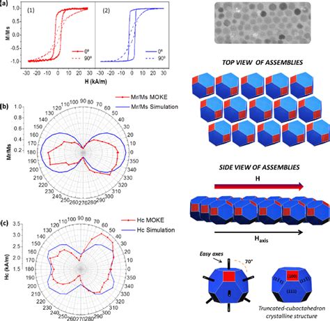 A1 Experimental Moke And A2 Theoretical Hysteresis Loops Parallel