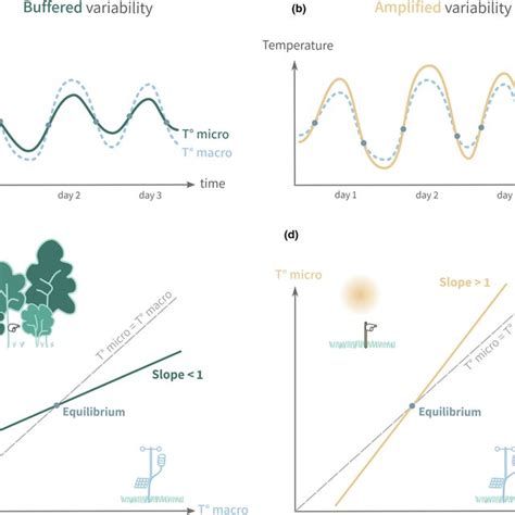 A A Forest Understorey Where The Microclimate In‐situ Sensors