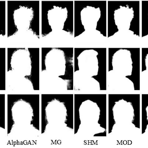 visual comparisons with trimap fake on ppm100 download scientific diagram