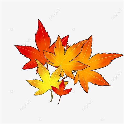 빨간색 메이플 그림 일러스트 리프 가을 단풍 잎 나무는 빨간색입니다 메이플 리프 클립 아트 단풍 나무 붉은 숲 붉은 단풍