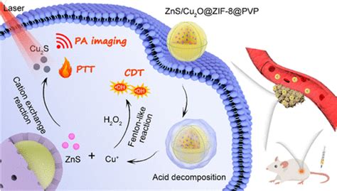 In Situ Transformable Pro Nanotheranostic Platform For Activable