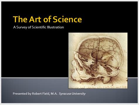 Robert Field On Linkedin Thank You To Lynn Rozzi And Prof Izolda Maksym At Nassau Community…