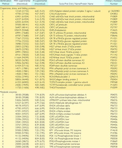 List Of Proteins From Human Pdl Fibroblasts Identified By Matching Or By Ms Download Table