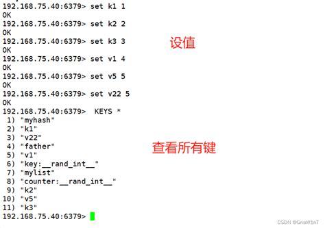 【非关系型数据库】redis概述及安装、命令使用redis服务 Csdn博客