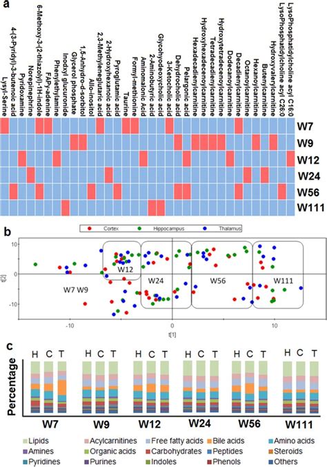The Brain Metabolome Of Male Rats Across The Lifespan Scientific Reports