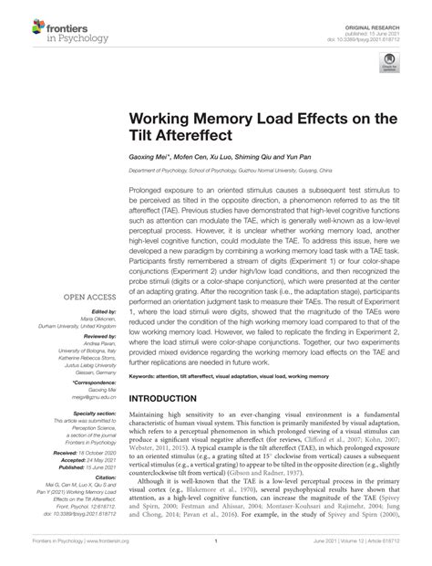 Pdf Working Memory Load Effects On The Tilt Aftereffect