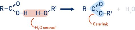Esters A Level Chemistrybabe