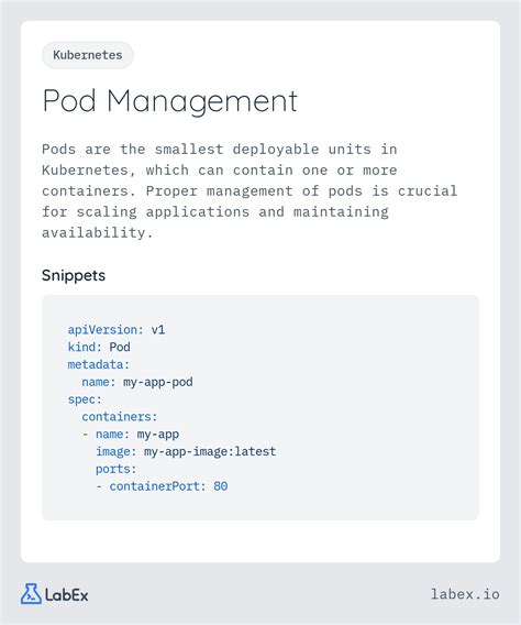 Programming Flashcards Learn Coding Concepts Labex