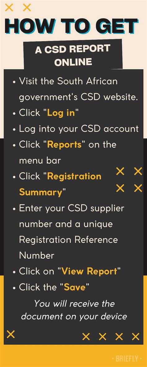 How To Get A Csd Report In 2024 Read This Step By Step Guide Za