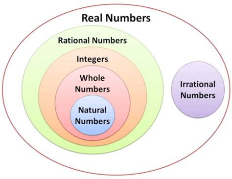 classifying numbers pre calc flashcards quizlet