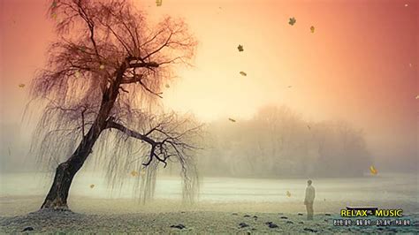 20분 안에 잠을 자게하는 기적의 음악 힐링음악 잠잘오는음악 잠오는 음악 지금 당장 자야 한다면 들어야 하는 수면유도음악 잠잘 때 듣는 음악 L 수면유도음악