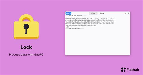 Install Lock On Linux Flathub