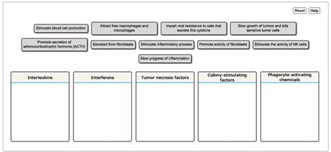 solved match the following functions and characteristics with the