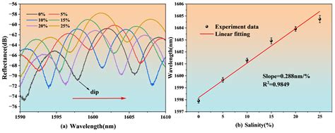Fiber Optic Micro Hole Salinity Sensor Based On Femtosecond Laser