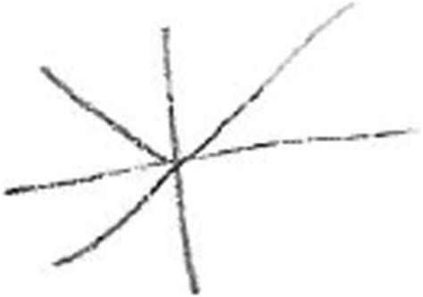 Sophias Sketch Describing A Function That Behaves Similar To Z → Z