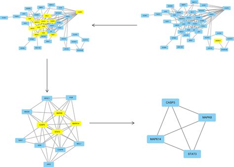 Target Screening Strategy Diagram Of Danshenol C In The Treatment Of Pf Download Scientific
