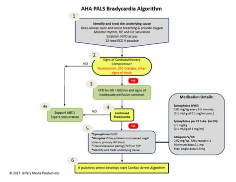 Pals Bradycardia Algorithm Pdf Medical Emergencies Cardiology