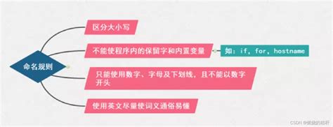 shell编程基础：脚本、变量、数组与控制结构 csdn博客