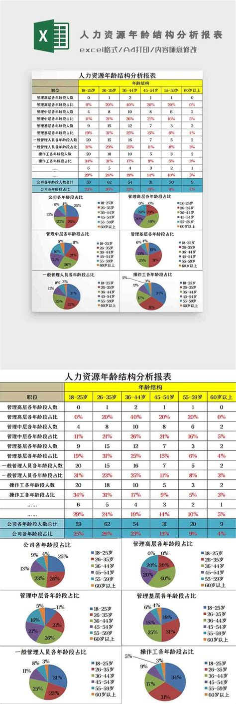 تقرير تحليل الهيكل العمري للموارد البشرية قالب Excel اكسل قوالب Xls تحميل مجاني Pikbest