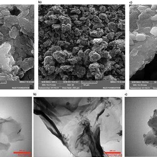 1 SEM Analysis Of A GO B DAP C GO DAP 2 TEM Images Of A Download Scientific