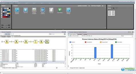TIBCO ActiveMatrix BPM In Depth Column 2