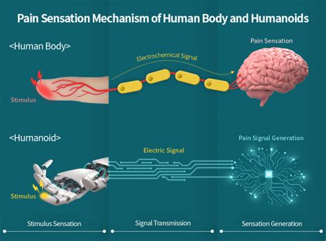 Schematic Diagram Of An Artificial Sensor SK Hynix Newsroom