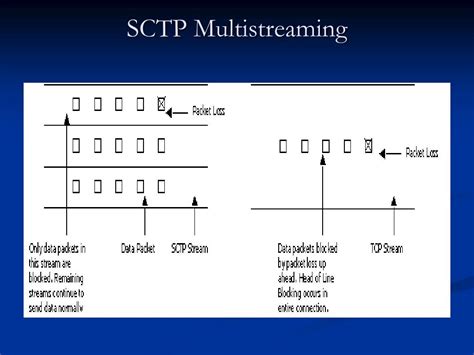 ppt sctp stream control transmission protocol powerpoint presentation id 3991414