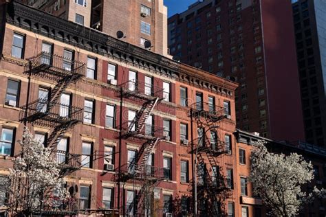 Colorful Old Brick Apartment Buildings With Fire Escapes And A Flowering Tree During The Spring
