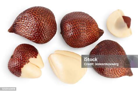 잘라진 경로와 전체 깊이의 필드로 흰색 배경에 고립 된 살락 뱀 과일 맨 위 보기입니다 플랫 레이 갈색에 대한 스톡 사진 및