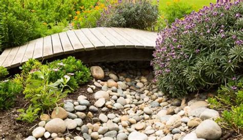 Preventing And Managing Soil Erosion In Your Yard Gilmour