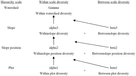 Hierarchical Levels In The Additive Partitioning Of Diversity Used In