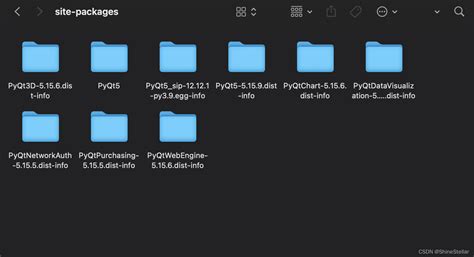 记录一次完整的macm1安装pyqt5的经历mac Pyqt Csdn博客
