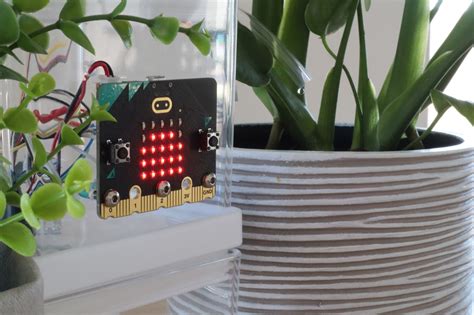Micro Bit Automatic Plant Watering System The DIY Life